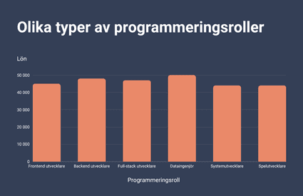 Hur mycket tjänar en programmerare? Lönestatistik och löneutveckling